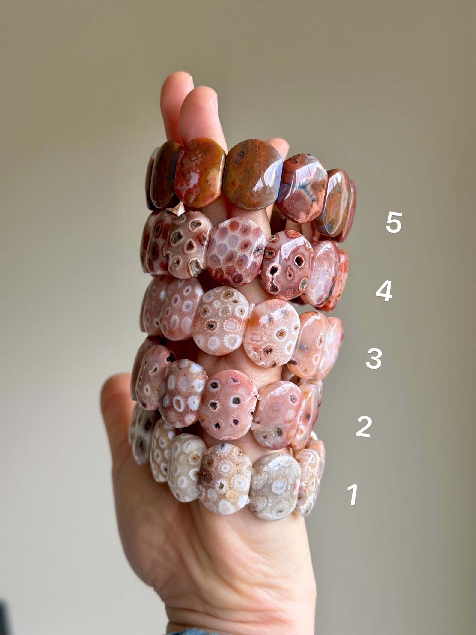 You Choose! Cheese-like Geode, Fossilized Coral, Coral Agate Bracelet ...