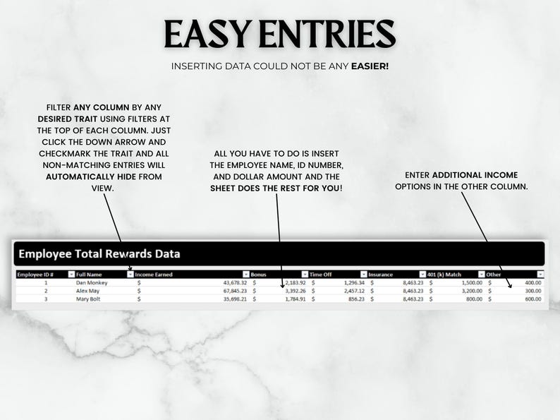 Employee Total Rewards Spreadsheet, Human Resource Template, Employee ...