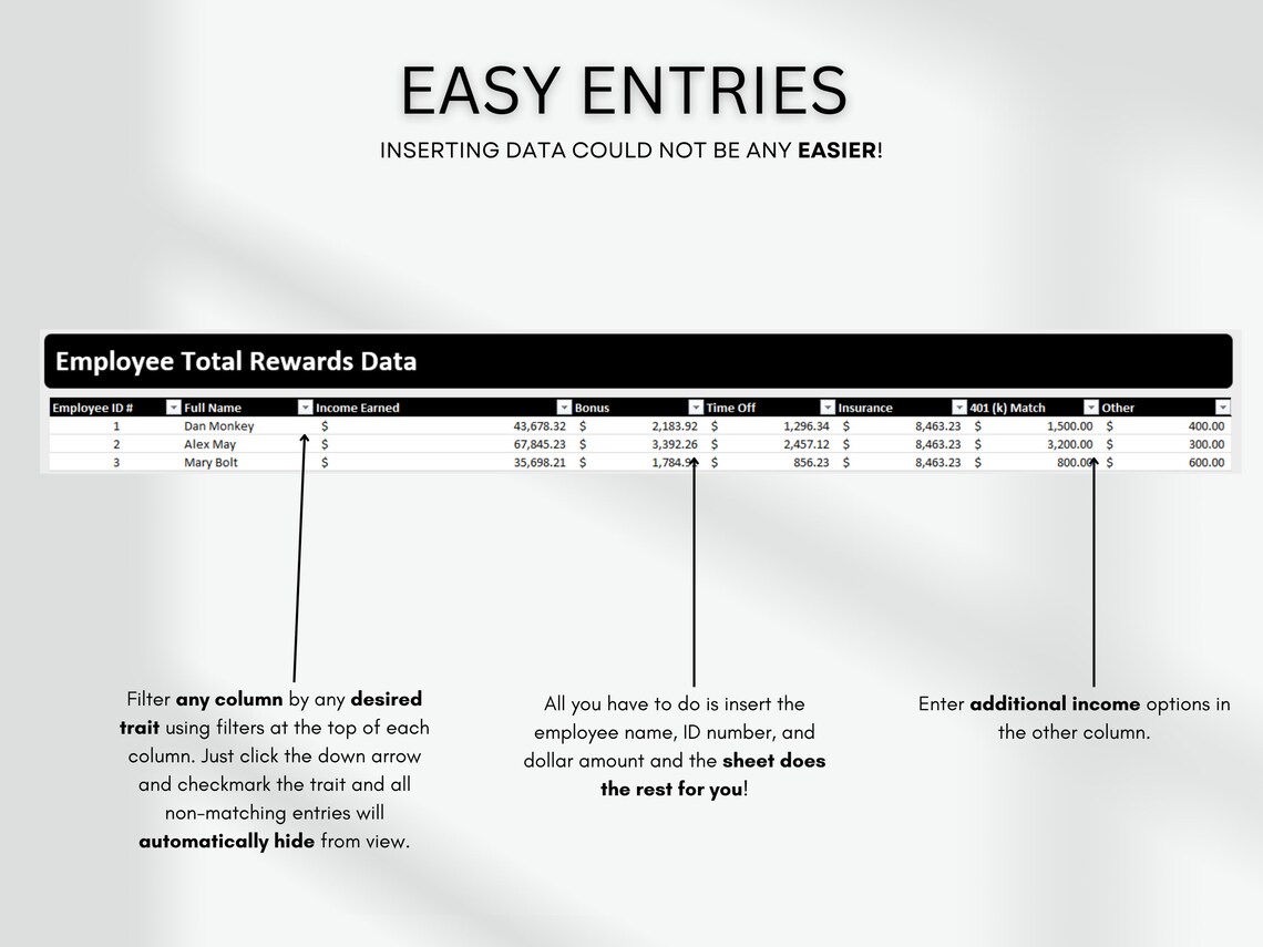 Employee Total Rewards Spreadsheet, Human Resource Template, Employee ...