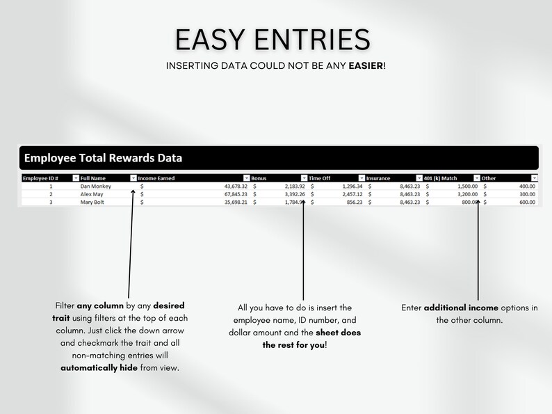 Employee Total Rewards Spreadsheet, Human Resource Template, Employee ...