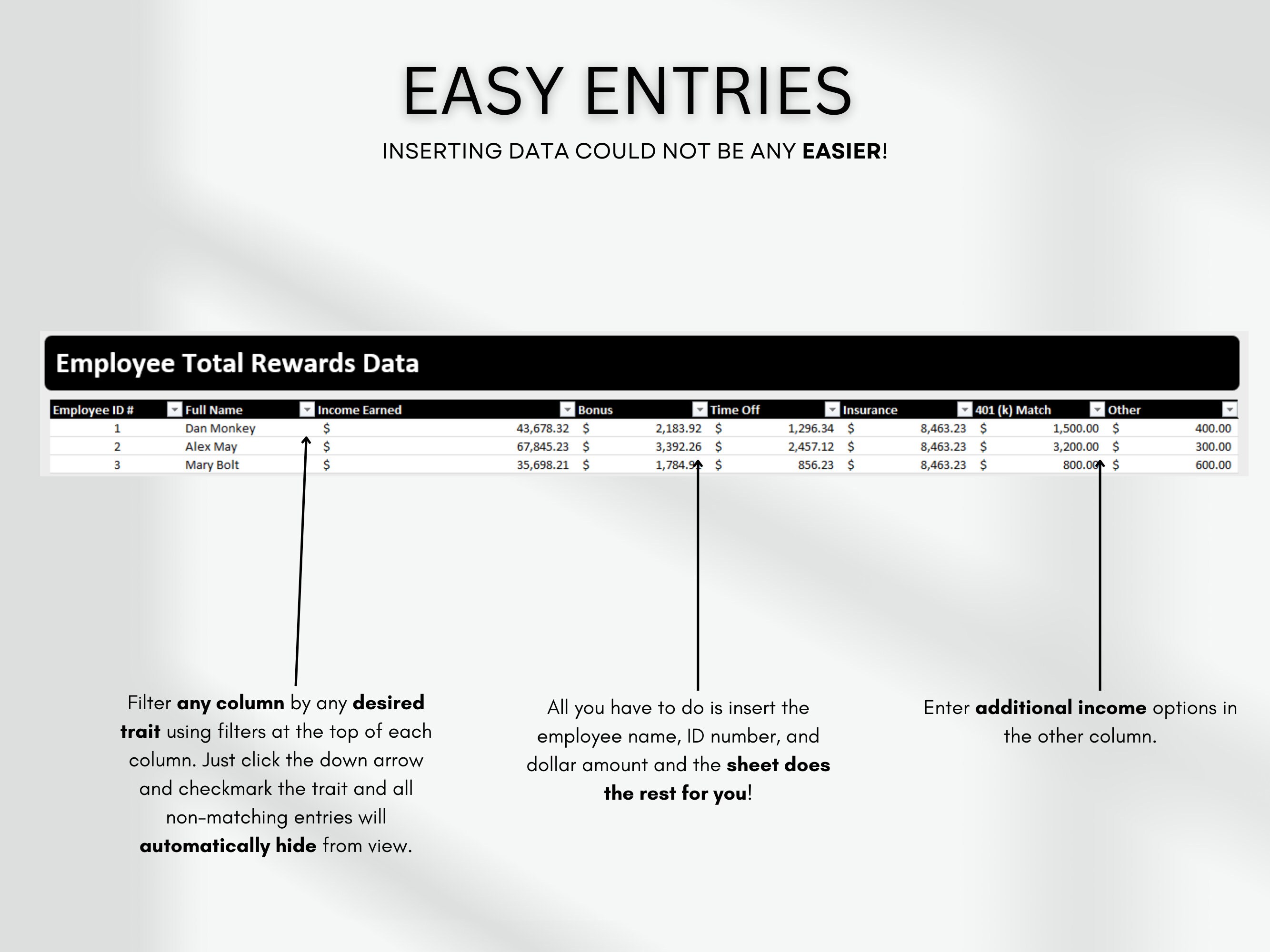 Employee Total Rewards Spreadsheet, Human Resource Template, Employee ...