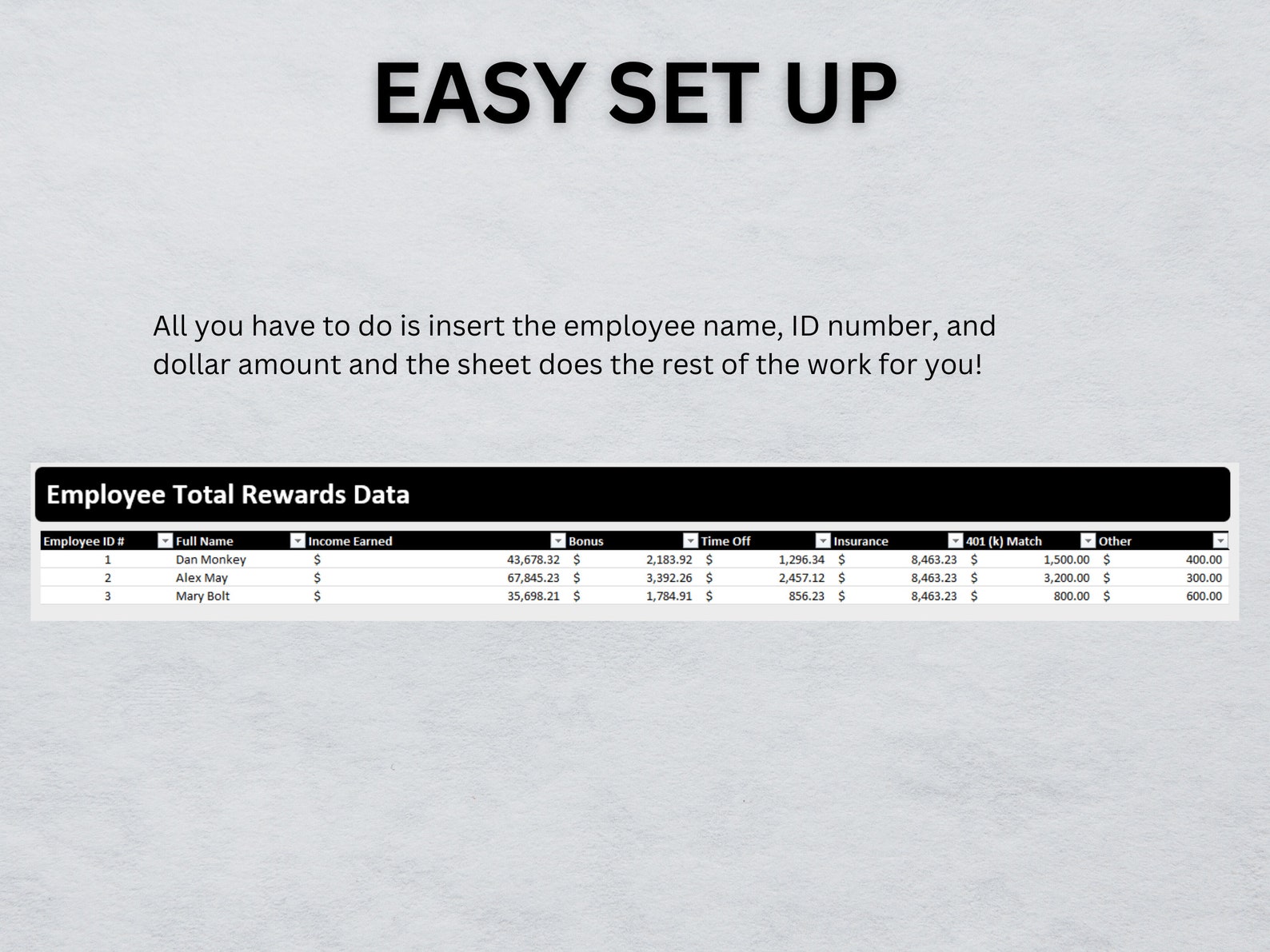 Employee Total Rewards Spreadsheet Human Resource Template - Etsy
