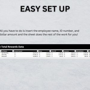 Employee Total Rewards Spreadsheet Human Resource Template - Etsy
