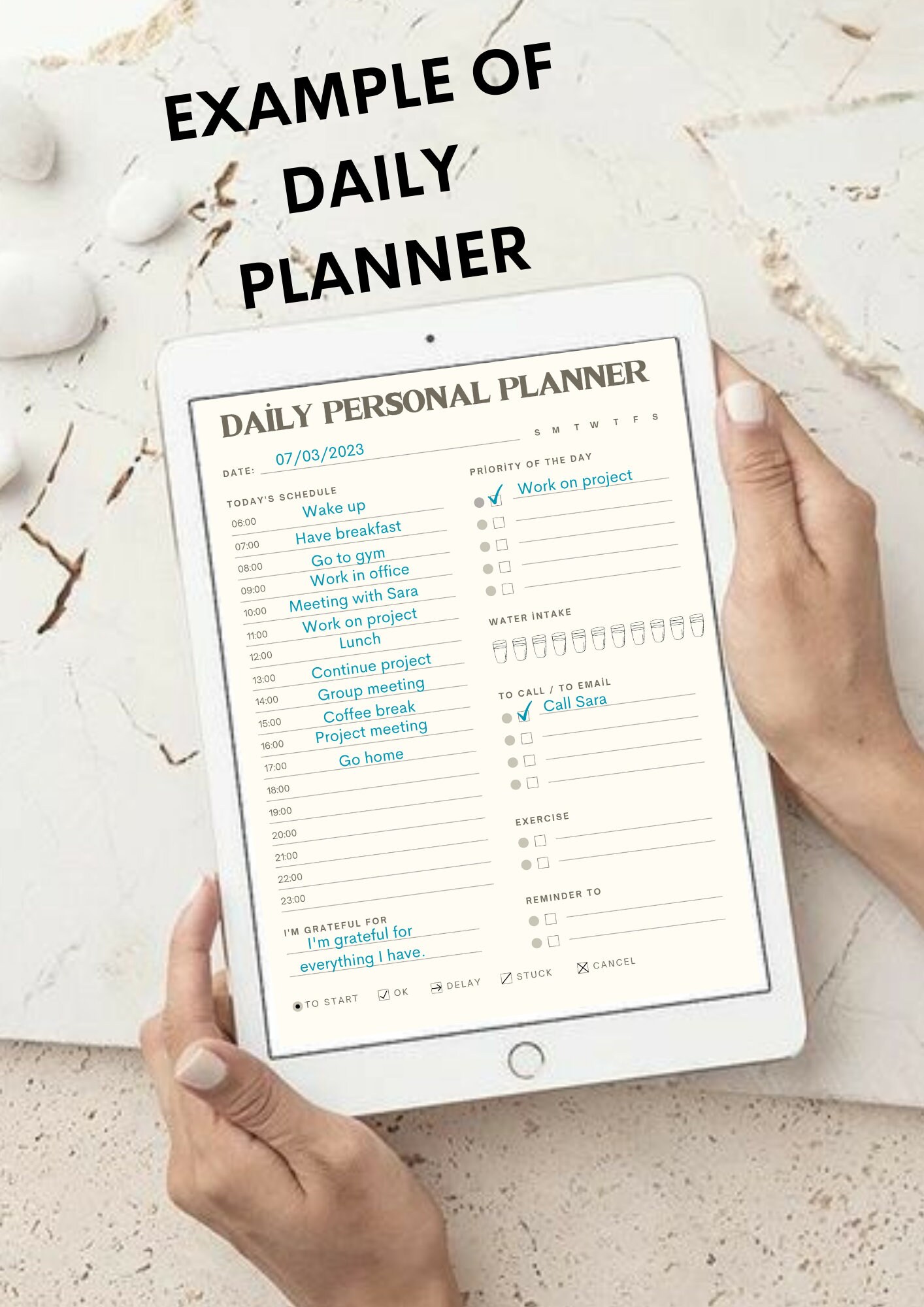 Daily Planner Downloadable, Daily Planner Printable Hourly, Undated ...