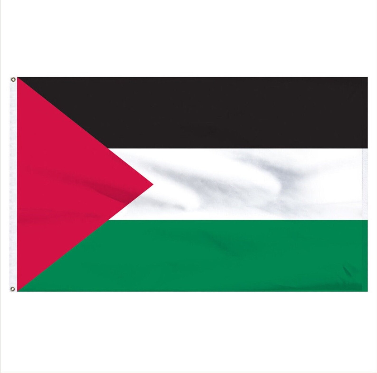 Palestine Flag 3x5 Ft - Falasteen Flag - Etsy