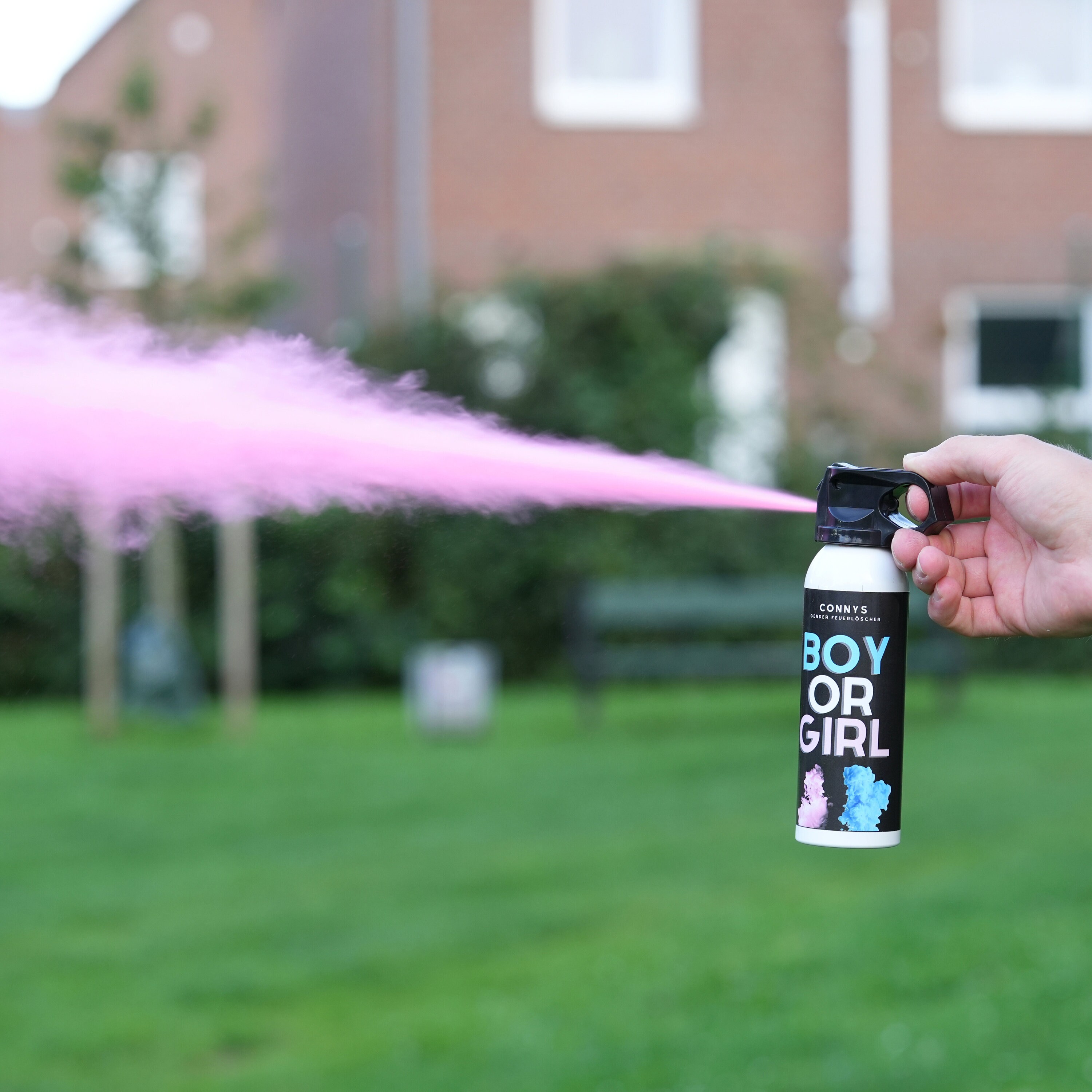 Gender Reveal Fire Extinguisher Free Confetti Cannon Powder Spray 100g ...