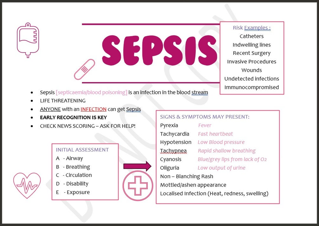 SEPSIS Flashcard Revision Student Nurse Nurse - Etsy