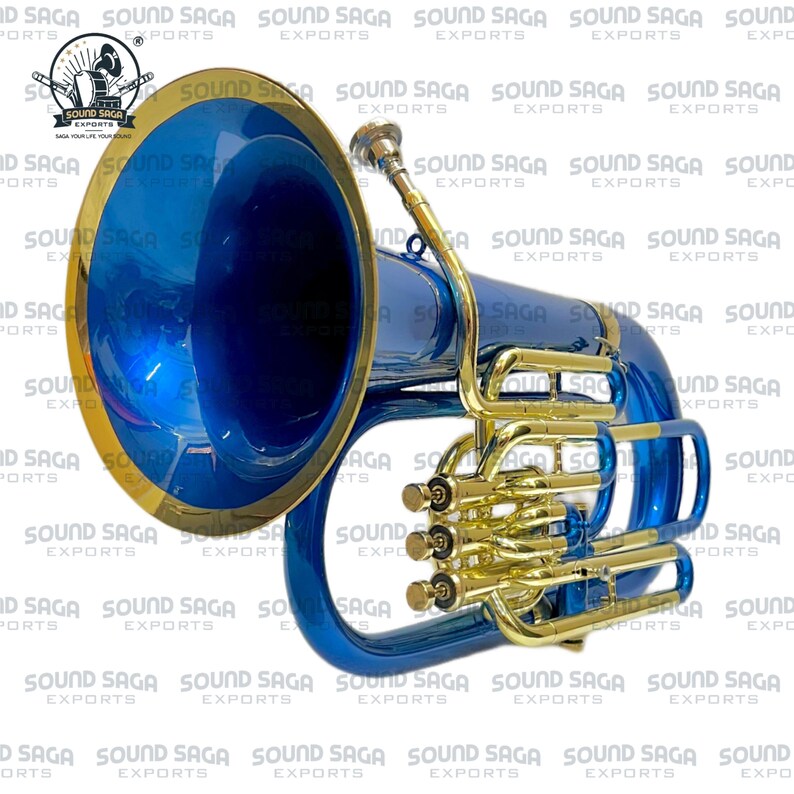 SOUND SAGA® Euphonium 4 Valve Bb Pitch Including Mouthpiece and Carry ...