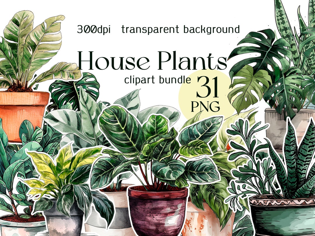House Plants Clipart Bundle Plant Pot Png Clipart Monstera Plant Art ...