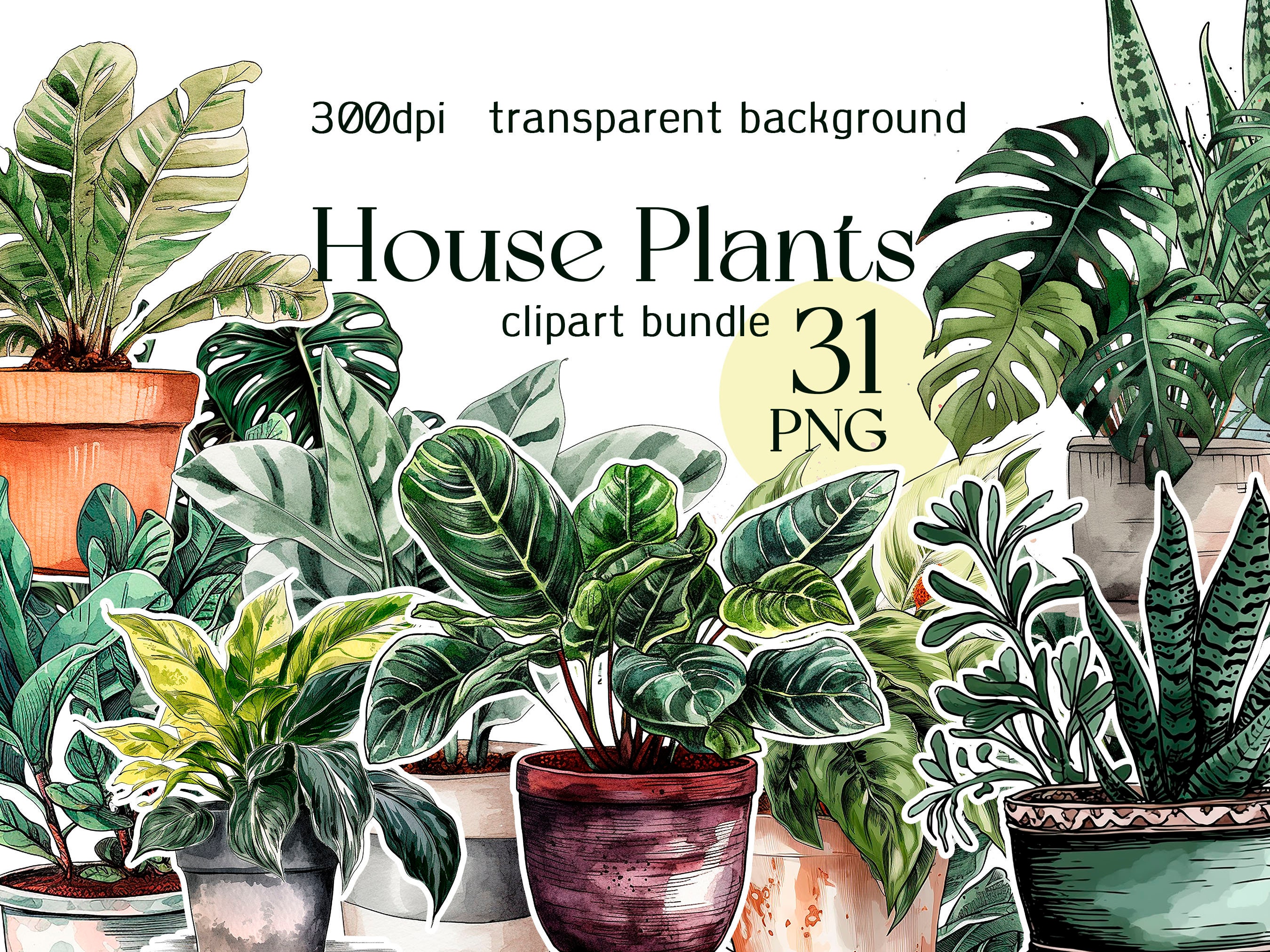 House Plants Clipart Bundle Plant Pot Png Clipart Monstera Plant Art ...