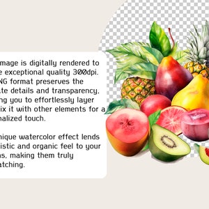 Watercolor Tropical Fruits Clipart Bundle PNG Fruit Set Clipart ...