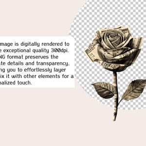 Money Rose Clipart Bundle Dollar Bill Flower PNG Cash Rose Clip Art ...