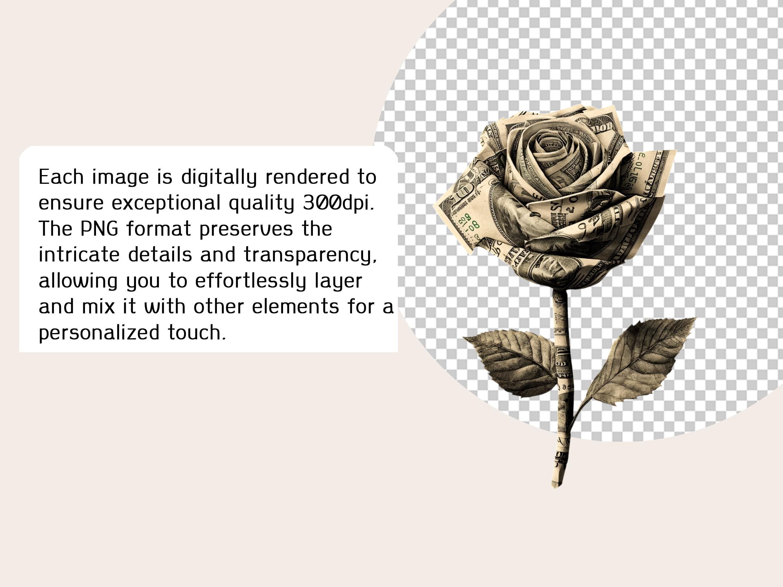 Money Rose Clipart Bundle Dollar Bill Flower PNG Cash Rose Clip Art ...