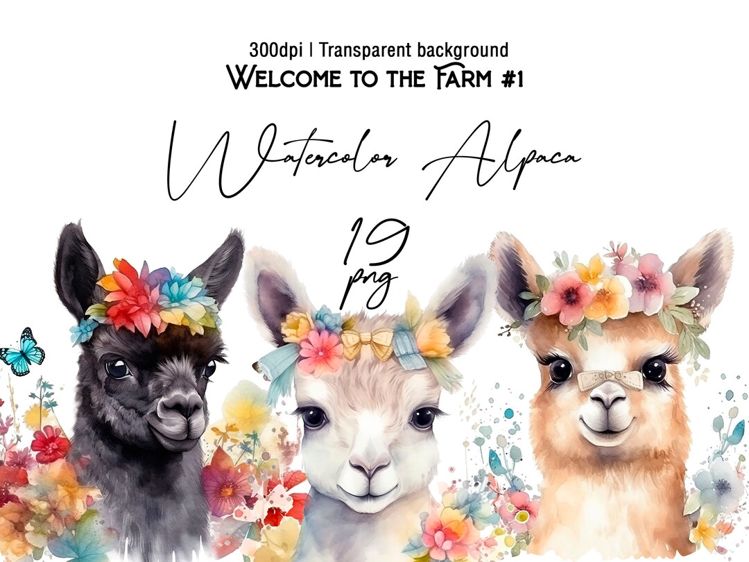 Watercolor Alpaca Clipart Bundle Farm Animals PNG Nursery Wall Art ...