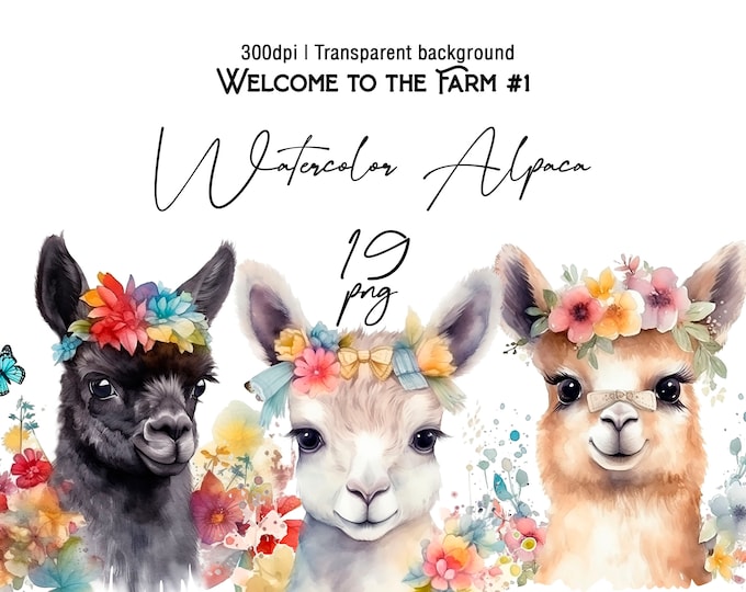 Alpaca Clipart Bundle - Png Farm Animals & Farmhouse Props, Cute ...