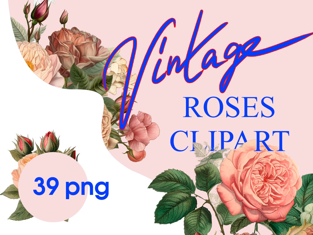Vintage Roses Clip Art, Rustic Floral Illustrations, Digital Flower Bundle Antique Rose Png ...