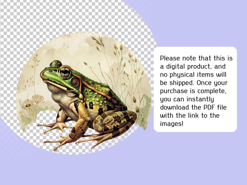 Frog Clipart Bundle Retro Frog PNG Illustration Vintage Toad Clipart ...