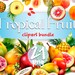 Watercolor Tropical Fruits Clipart Bundle PNG Fruit Set Clipart ...