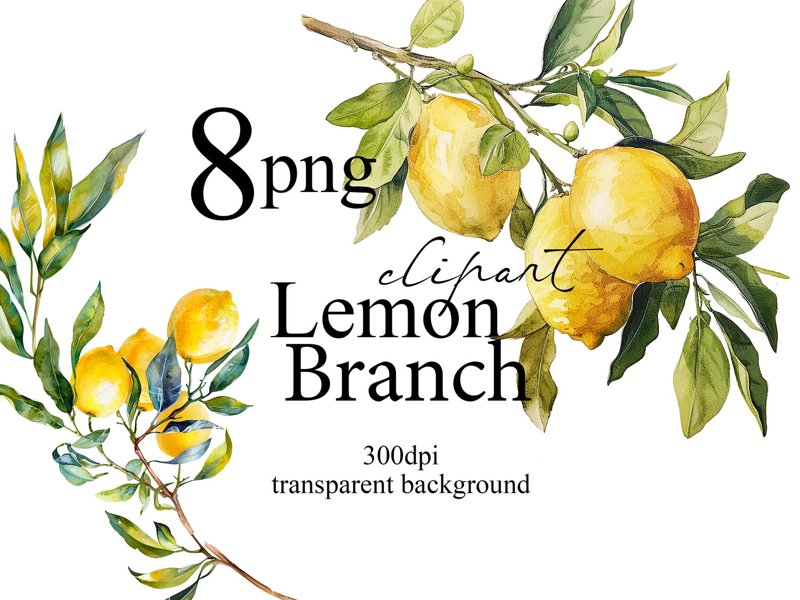 Watercolor Lemon Branch Clipart Bundle PNG Summer Fruits Clipart ...