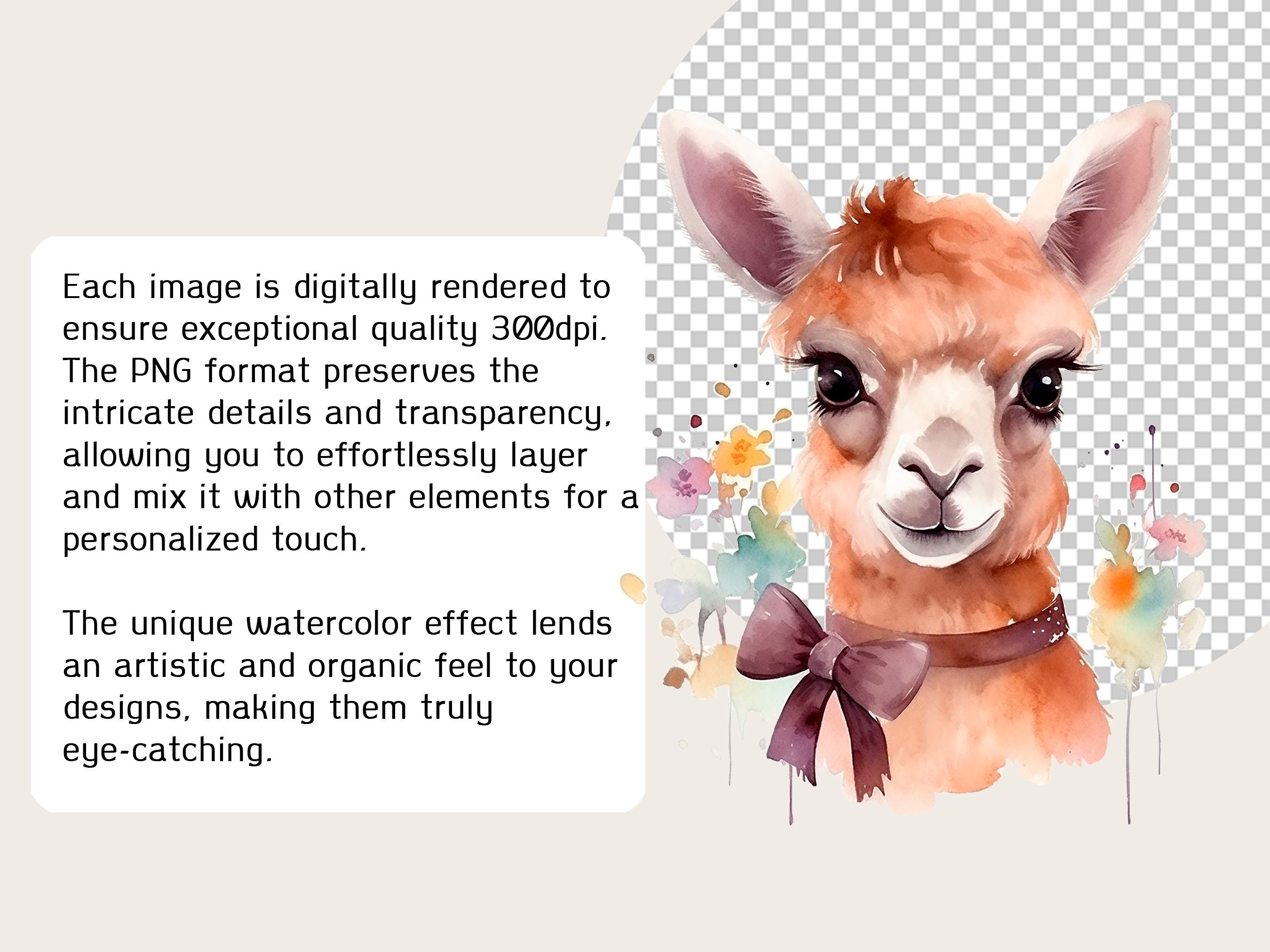 Watercolor Alpaca Clipart Bundle Farm Animals PNG Nursery Wall Art ...