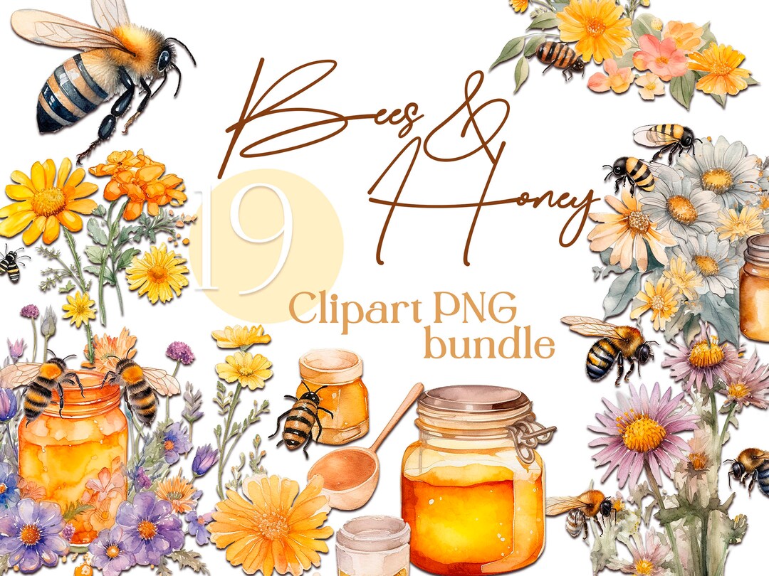 Watercolor Bee and Honey Clipart Bundle PNG Summer Flowers With Honey ...
