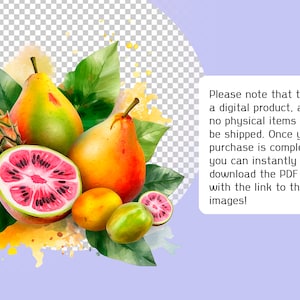 Watercolor Tropical Fruits Clipart Bundle PNG Fruit Set Clipart ...