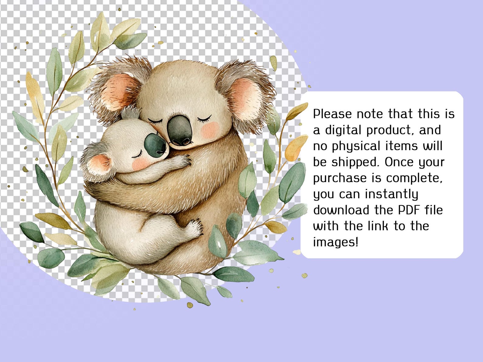 Mother and Baby Koala Clipart Bundle Hugging Koala Family PNG ...