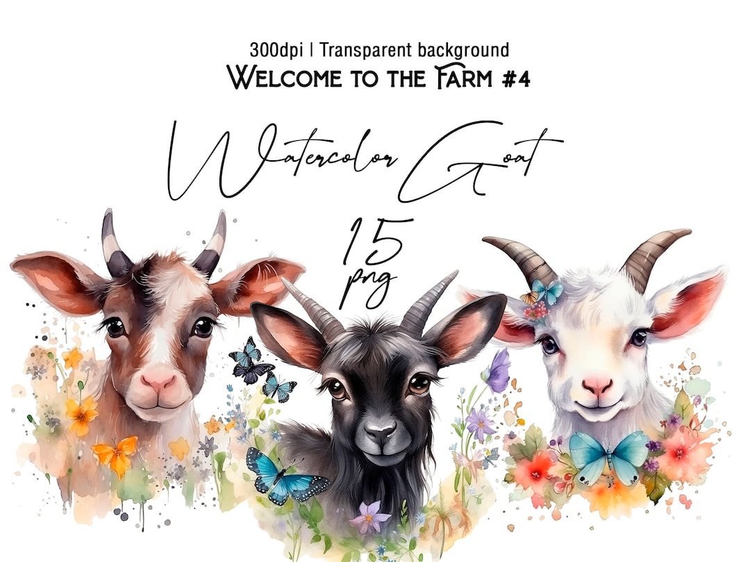 Cute Baby Goat Clipart Bundle Watercolor Farm Animal Illustration PNG ...