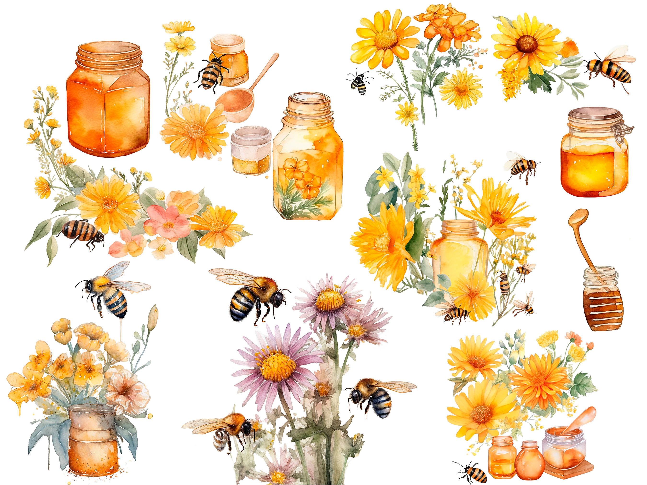Watercolor Bee and Honey Clipart Bundle PNG Summer Flowers With Honey ...