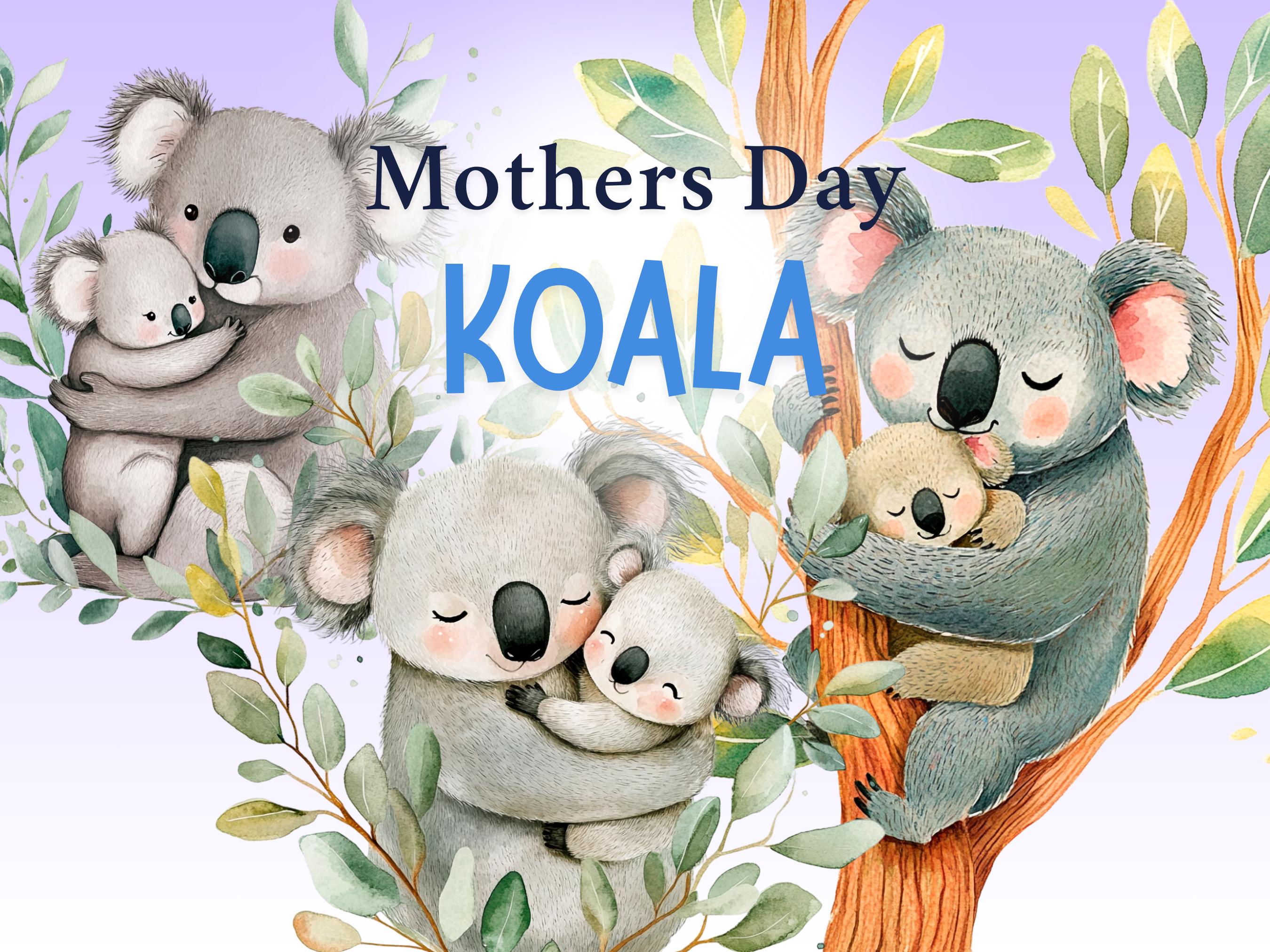 Mother and Baby Koala Clipart Bundle Hugging Koala Family PNG ...