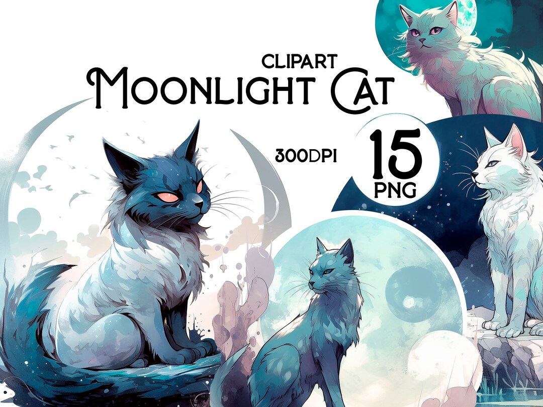 Moon Night Cat Clipart Bundle PNG Kitten Clipart Magic White Cat ...