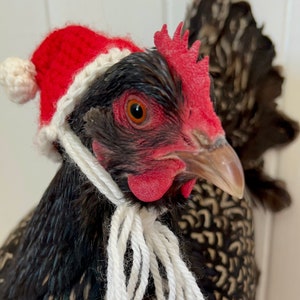 Chicken Santa Hat Crochet Pattern - Etsy