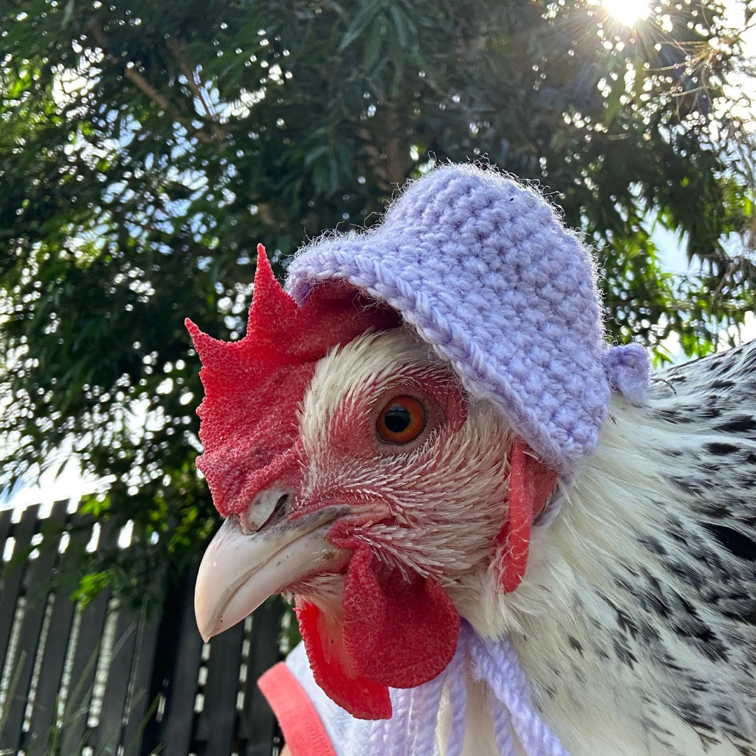 Crochet Chicken Hat Pattern. (PDF Download) - Etsy