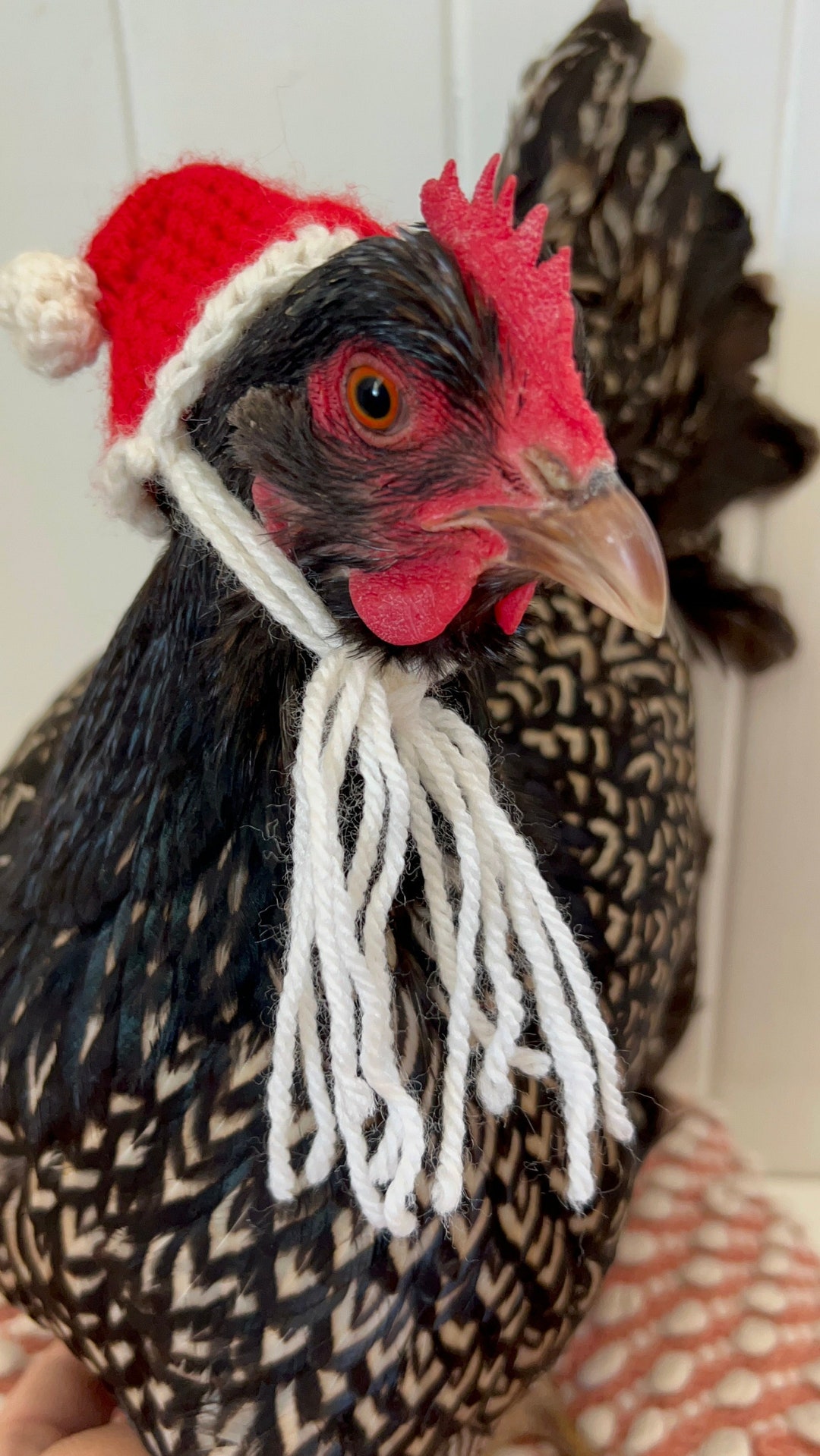 Chicken Santa Hat Crochet Pattern - Etsy