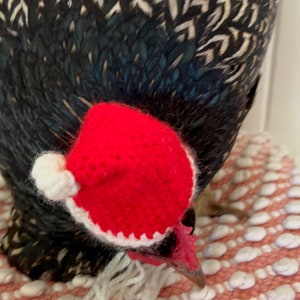 Chicken Santa Hat Crochet Pattern - Etsy