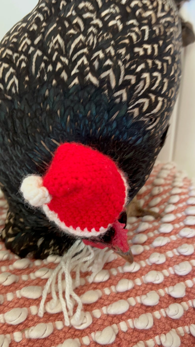 Chicken Santa Hat Crochet Pattern - Etsy