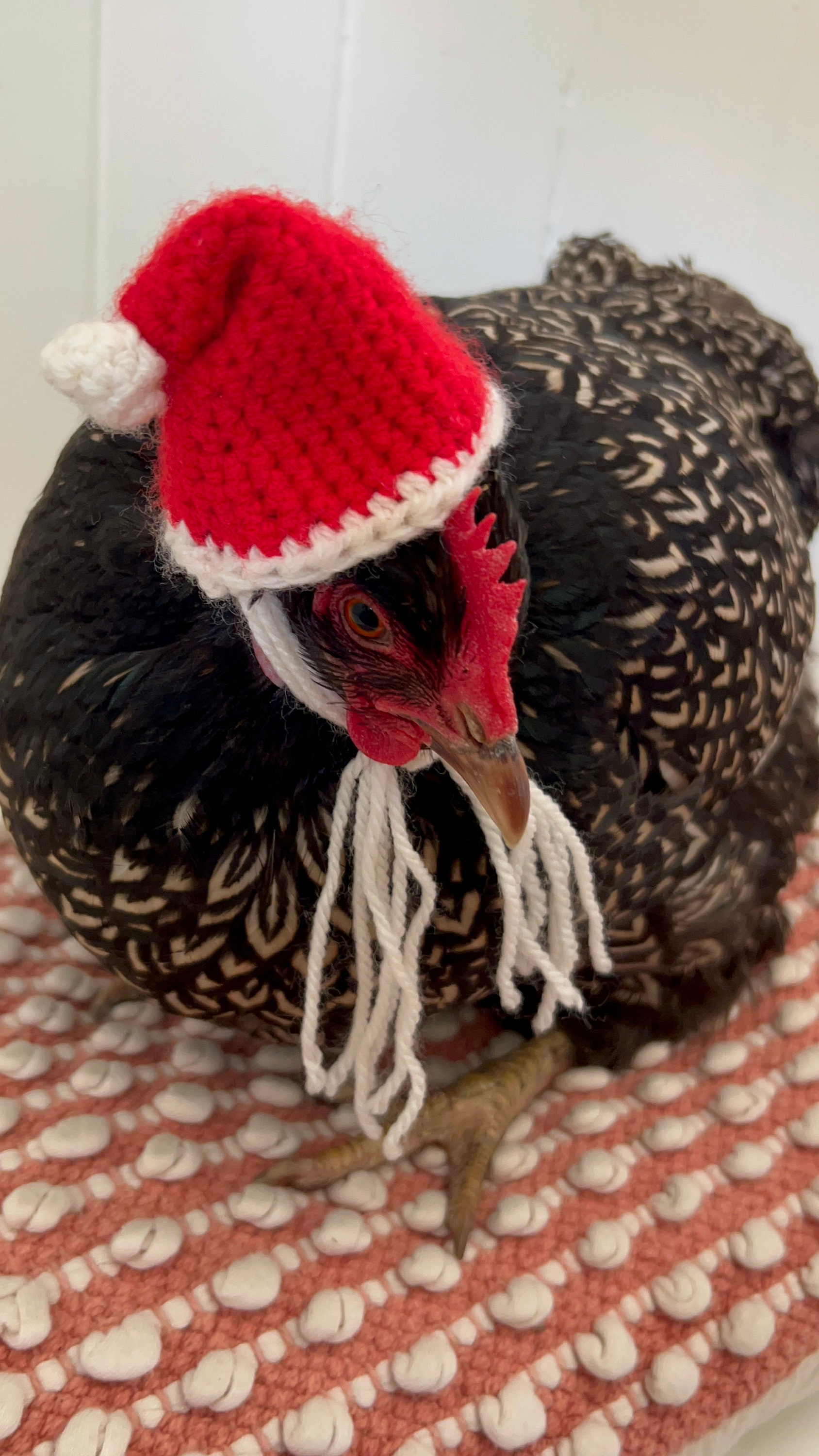Chicken Santa Hat Crochet Pattern - Etsy
