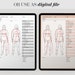 Body Size Chart Printable Digital Women Body Measurement Template ...