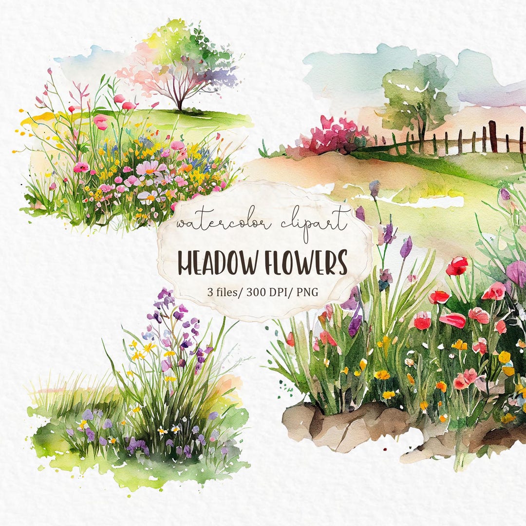Meadow Flower Watercolor Clipart PNG - Field Landscape Wildflowers ...