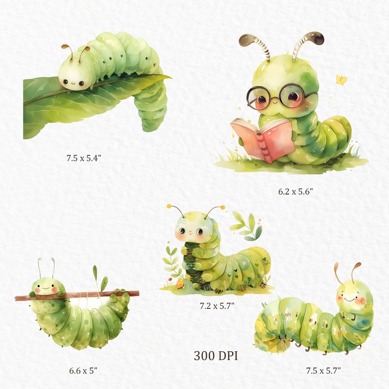Cute Bug Clipart Hungry Caterpillar Png Insect Teacher Clipart Kawaii ...