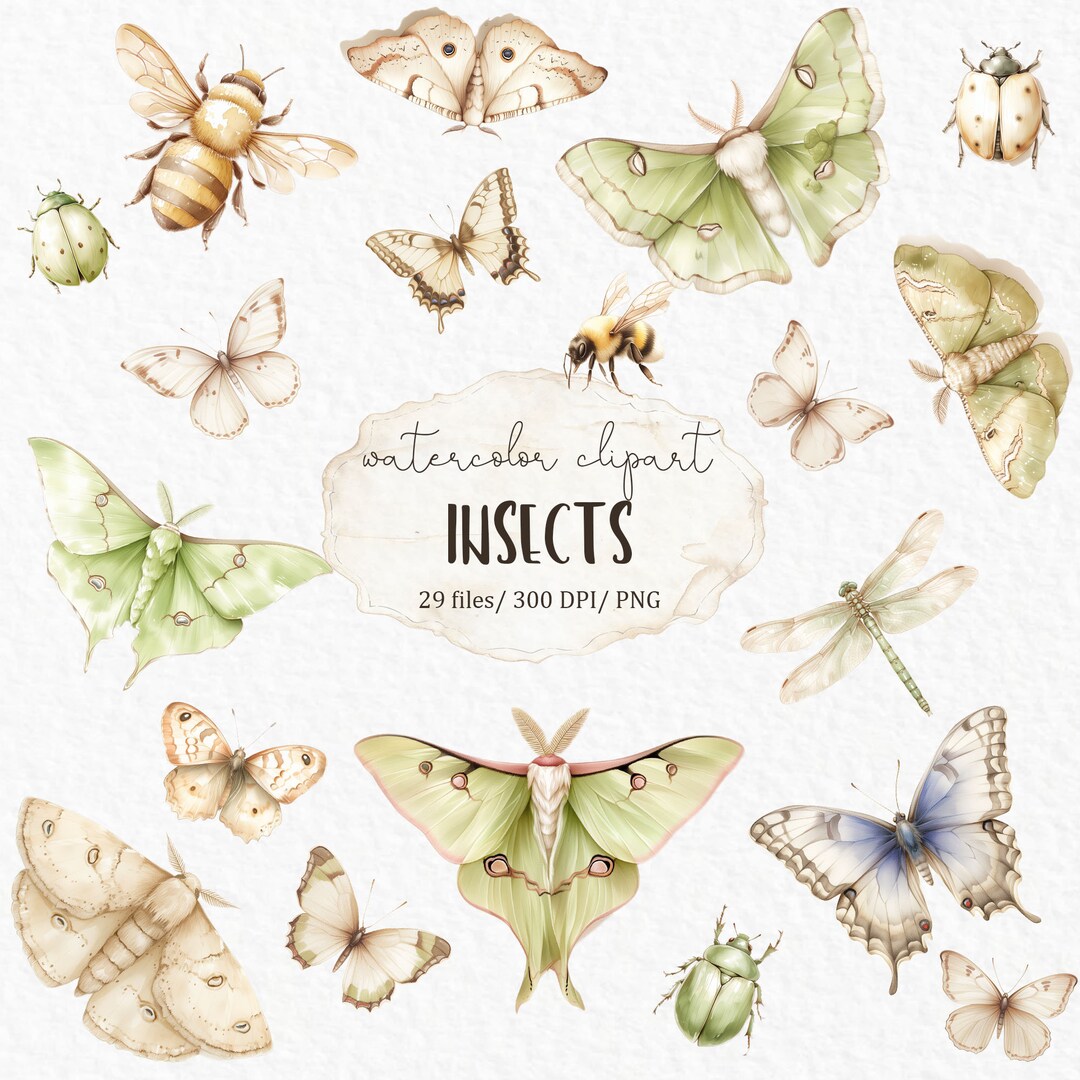 Luna Moth Watercolor Clipart - Dark Academia Cottagecore Summer ...