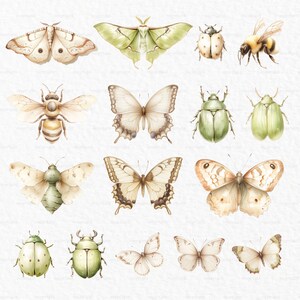 Luna Moth Watercolor Clipart - Dark Academia Cottagecore Summer ...
