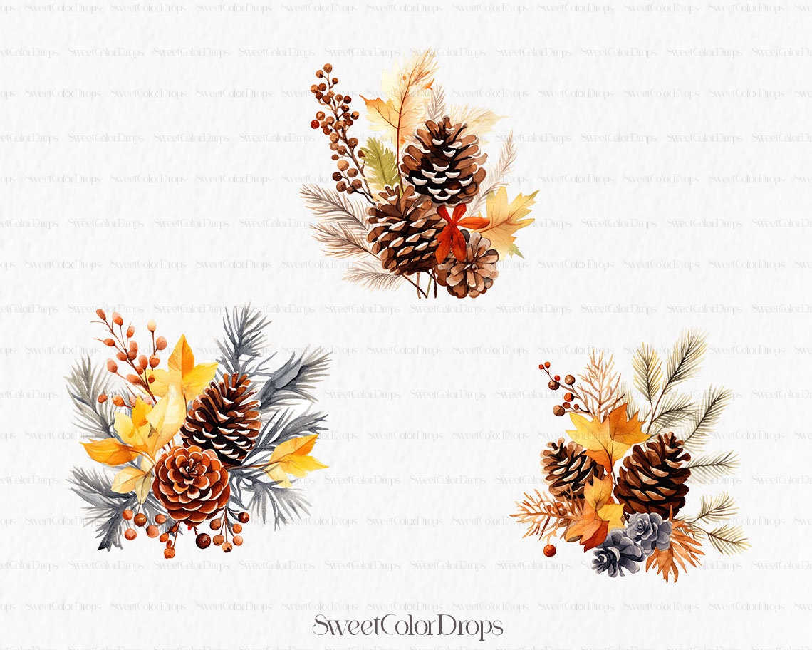Pine Cone Bouquets Watercolor Clipart PNG - Fall Bouquet Autumn Flowers ...