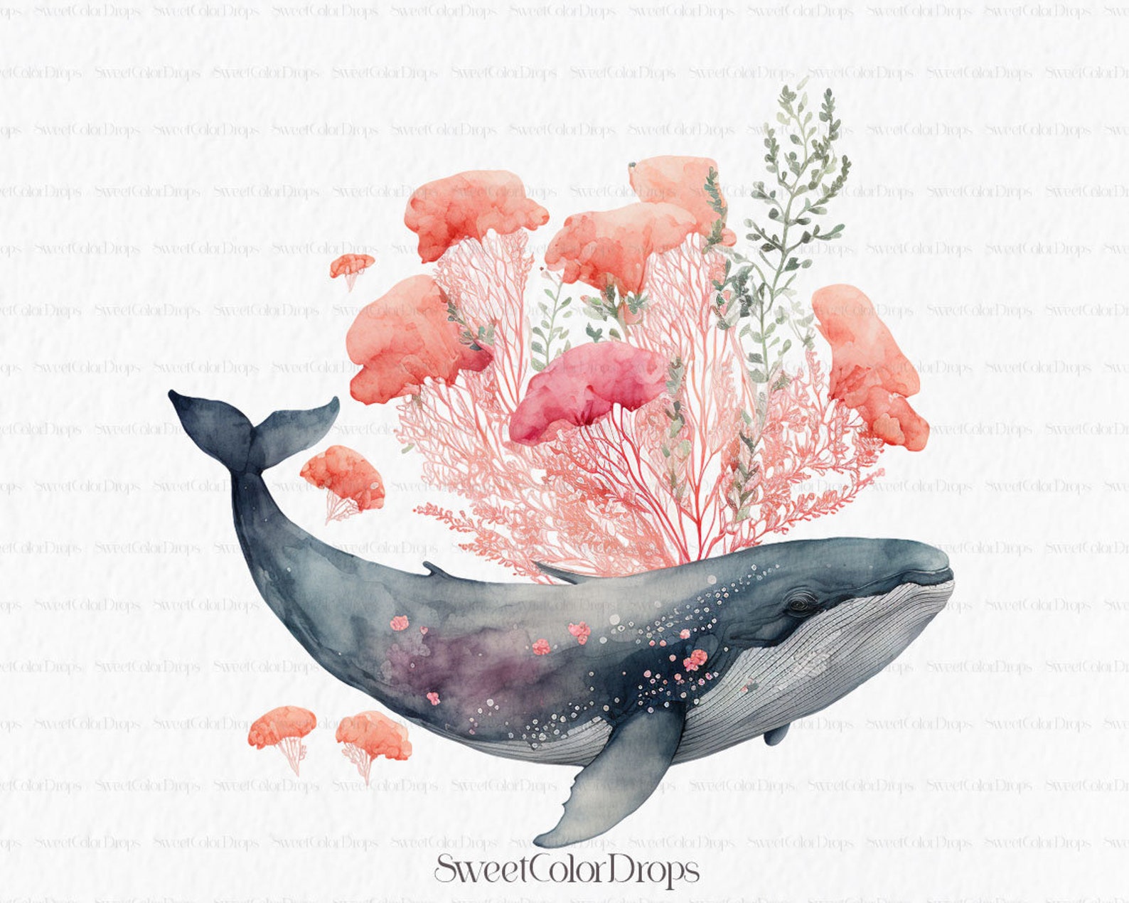 Baby Whale Watercolor Clipart PNG - Cute Nursery Wall Art Cartoon ...