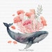 Baby Whale Watercolor Clipart PNG - Cute Nursery Wall Art Cartoon ...