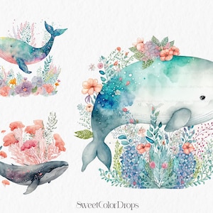 Baby Whale Watercolor Clipart PNG - Cute Nursery Wall Art Cartoon ...