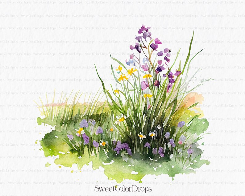 Meadow Flower Watercolor Clipart PNG Field Landscape Wildflowers Summer ...
