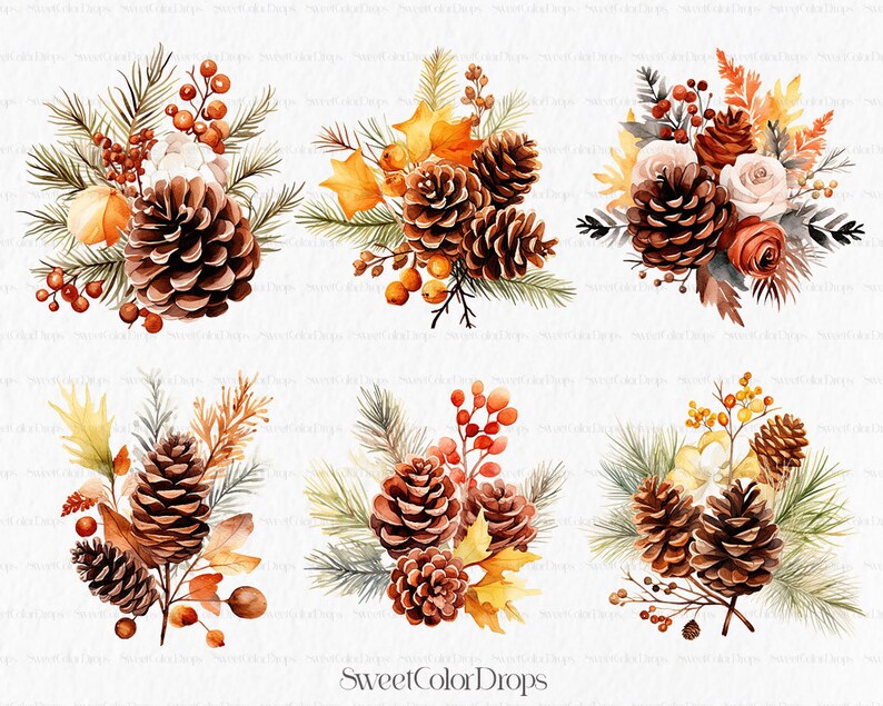 Pine Cone Bouquets Watercolor Clipart PNG Fall Bouquet - Etsy