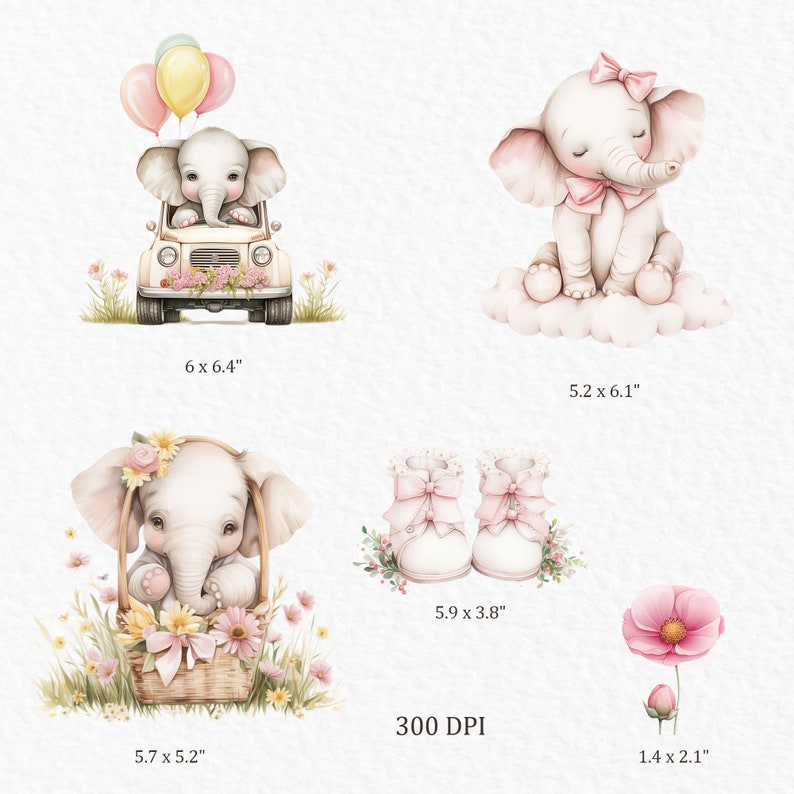 Elephant Baby Shower Clipart PNG Baby Elephant Its a Girl Gender Reveal ...