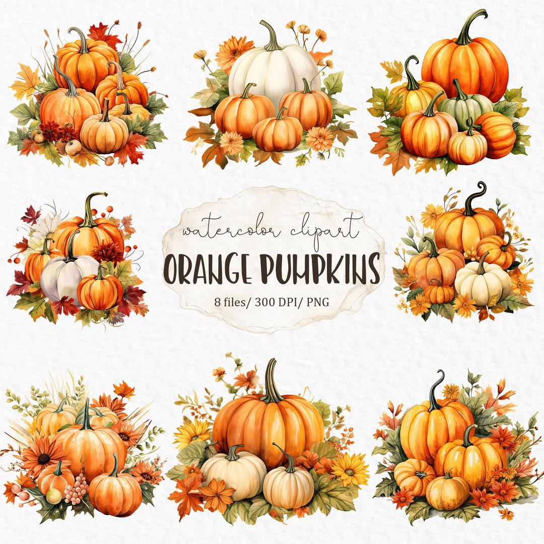 White and Orange Pumpkins Watercolor Clipart PNG - Autumn Thanksgiving ...